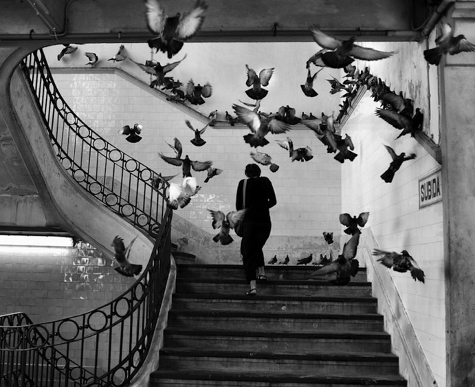 Quels sont les plus grands photographes de tous le temps